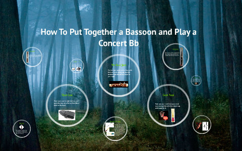 How To Put Together and Play a concert Bb on The Bassoon by Emily Adams