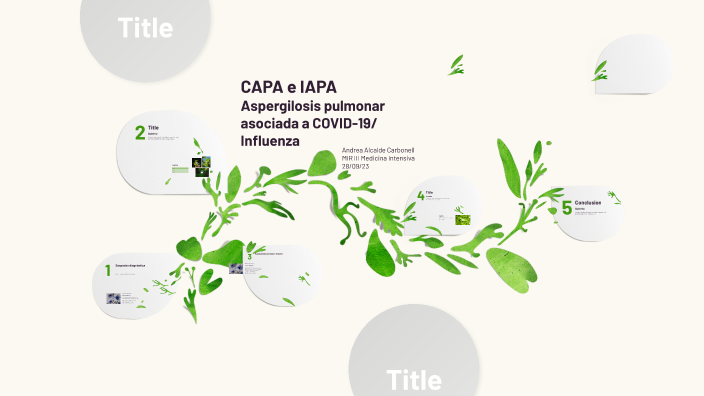 CAPA E IAPA by Andrea Alcalde on Prezi