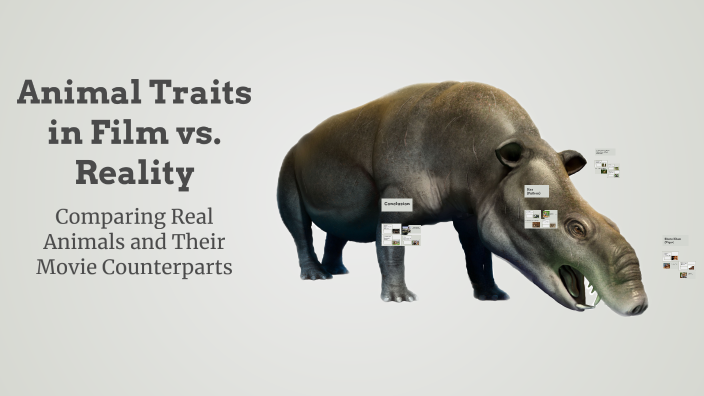 Animal Traits in Film vs. Reality by jensen gibbs on Prezi