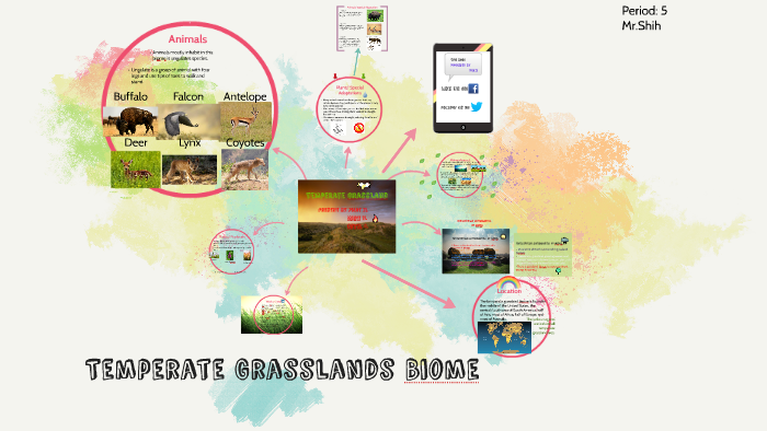 Temperate Grasslands Biome Presentation by Minh Hoang on Prezi