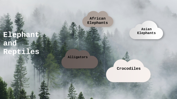 Differences of Animals by NATHAN MORELAND on Prezi