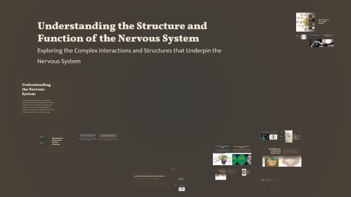 Understanding the Structure and Function of the Nervous System by Zeina ...