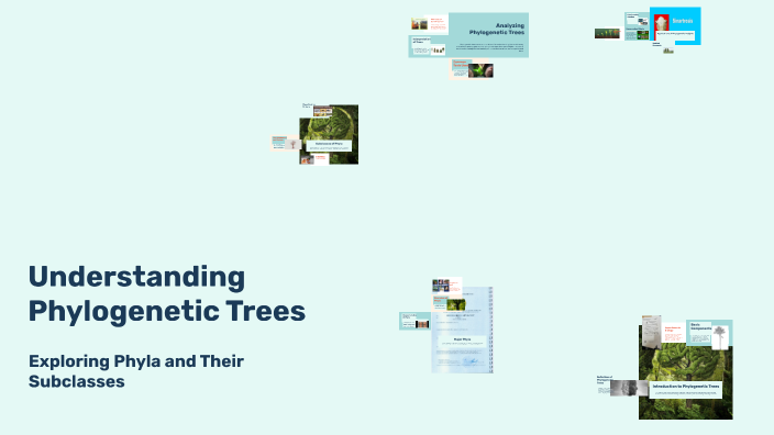 Understanding Phylogenetic Trees by Elly Niedzviecki on Prezi