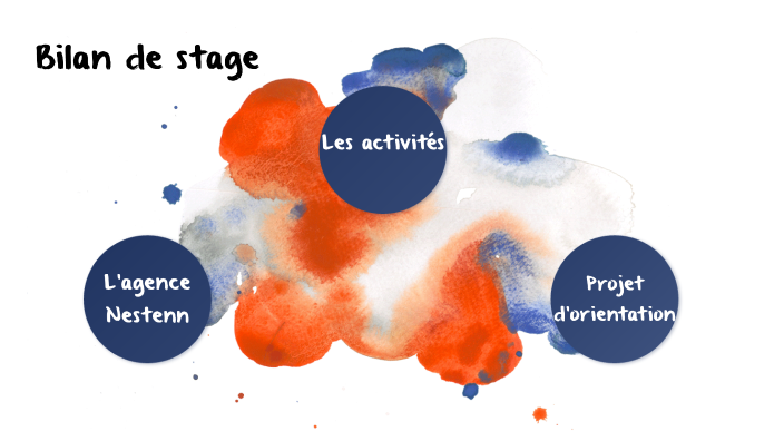 bilan stage by Thémys MAITRE on Prezi