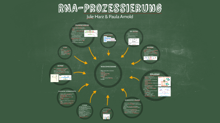 RNA-Prozessierung by Paula Arnold on Prezi