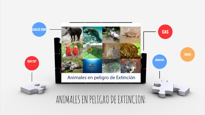 INFORMATICA by Rebeca Chan on Prezi