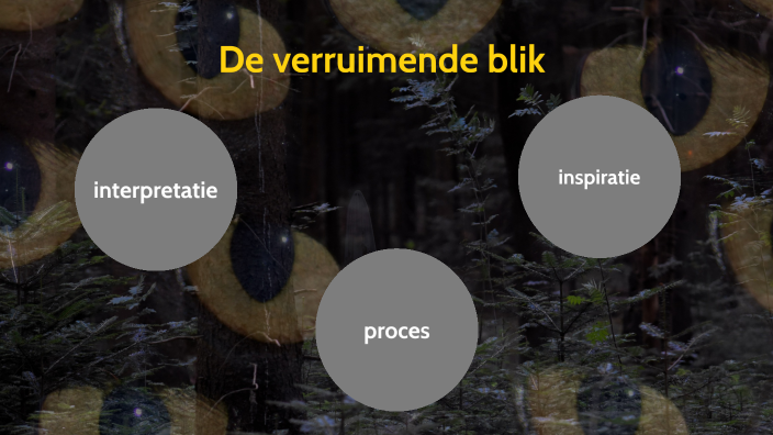 De Verruimende Blik by puck baars on Prezi