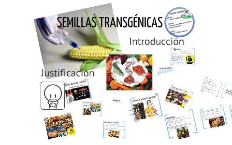 Semillas Transgénicas by ali coto on Prezi