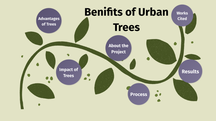 Benefits of urban trees by Toby/Techno Causa on Prezi Next