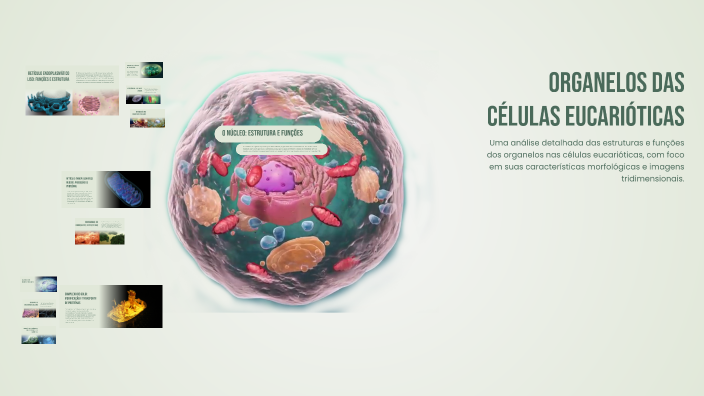 Organelos das Células Eucarióticas by Luís Dinis on Prezi