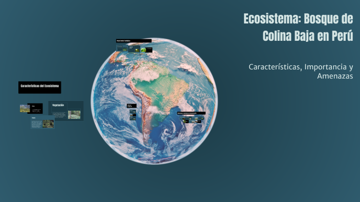 Ecosistema: Bosque de Colina Baja en Perú by kamly chusing on Prezi