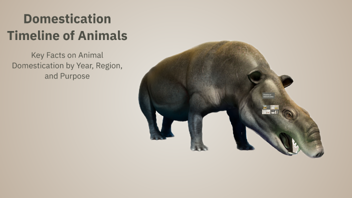 Domestication Timeline of Animals by Esteban Jose Espinal on Prezi