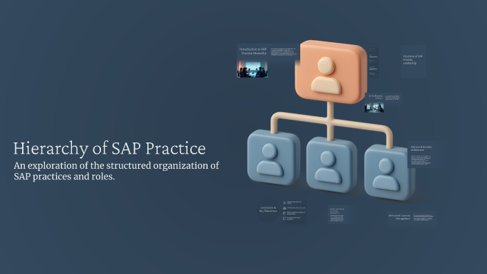 Hierarchy of SAP Practice by Mohamed Hemeda on Prezi