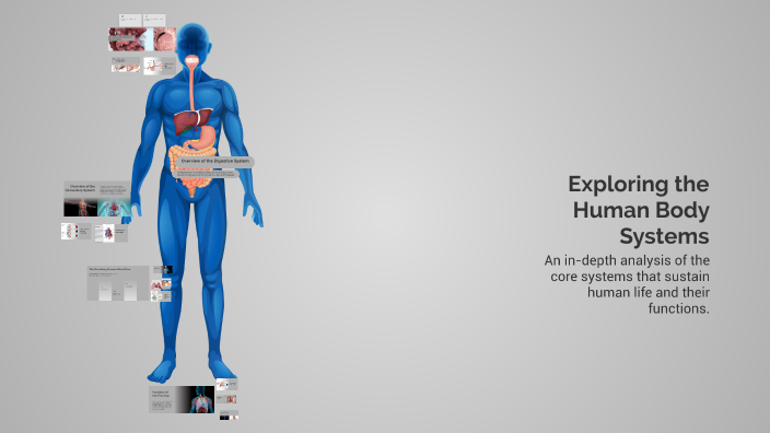 Exploring the Human Body Systems by irakli abuladze on Prezi