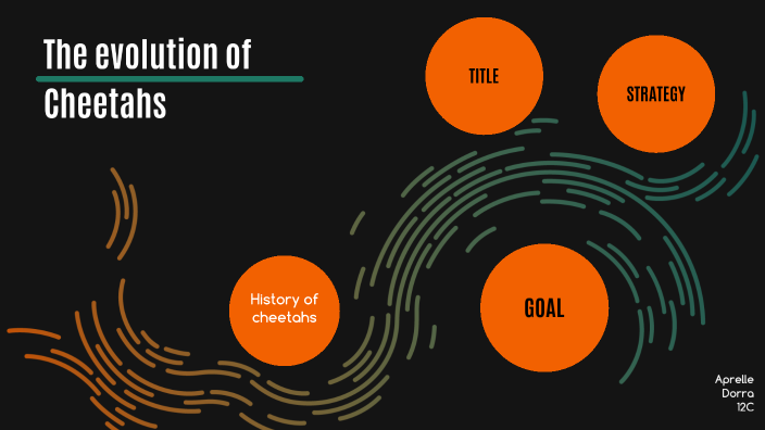 bio evolution of cheetah by Aprelle Dcruz on Prezi