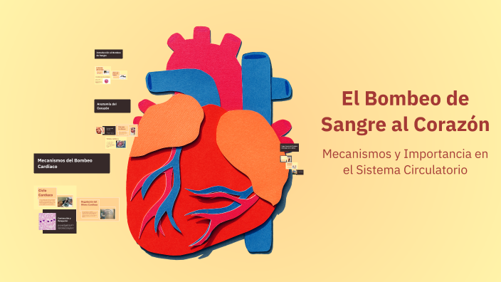 El Bombeo de Sangre al Corazón by dayan morales on Prezi