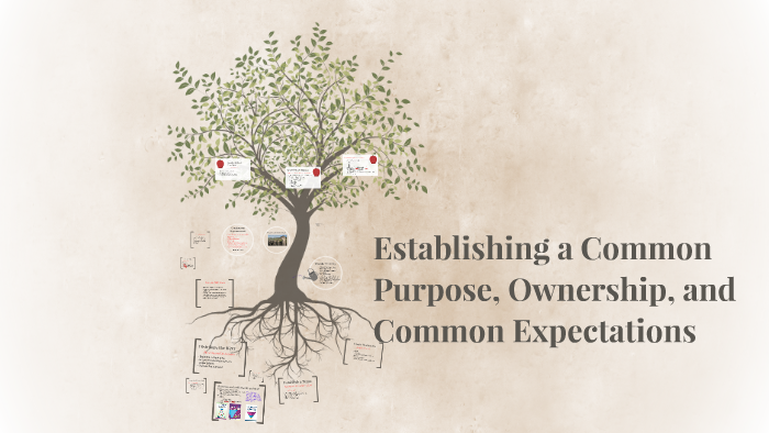 Establishing a Common Purpose, Ownership and Common Expectat by Lance ...