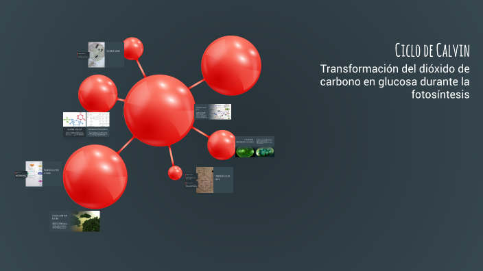 Ciclo de Calvin by Kevin Saul Vasquez Santiago on Prezi