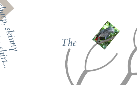 The Poisonwood Bible Final Assessment by Gabriela Kobylska on Prezi