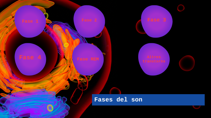 Fases del son by Albert Garcia on Prezi