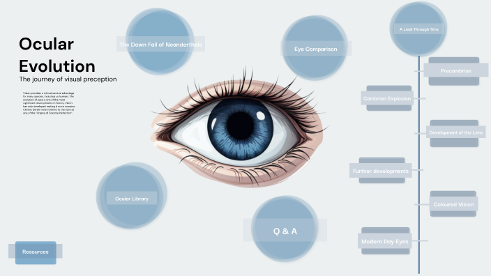 Ocular Evolution by Julea Wong on Prezi