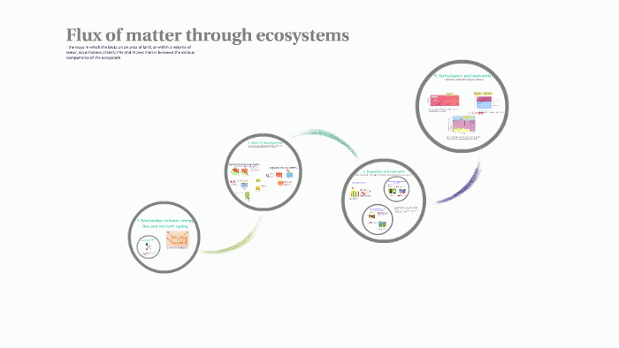 Flux of matter through ecosystems by Dia Shannon on Prezi