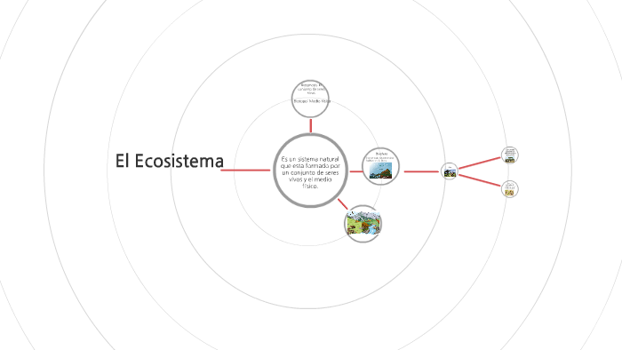 El Ecosistema by Janeth Robles