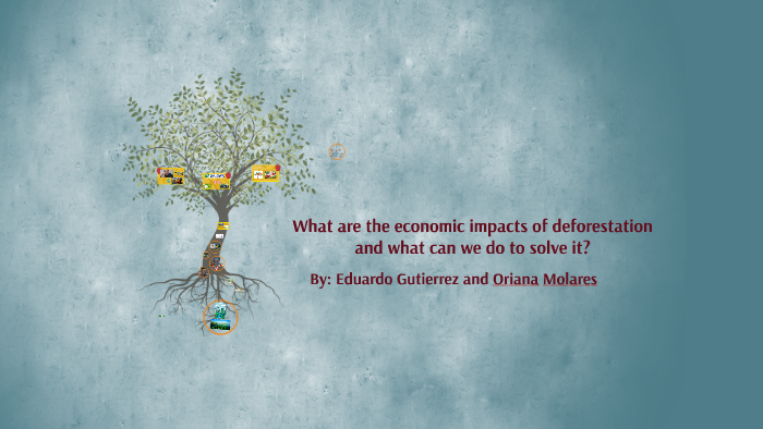 What are the economic impacts of deforestation and what can by Oriana ...