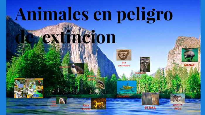 geografia de panama by melody rangel on Prezi