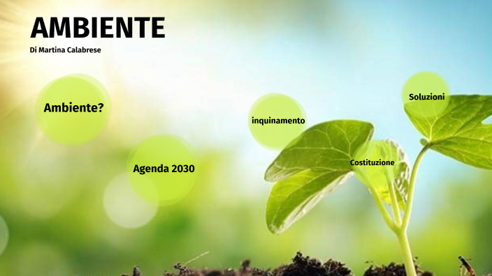 AMBIENTE by alessia calabrese on Prezi