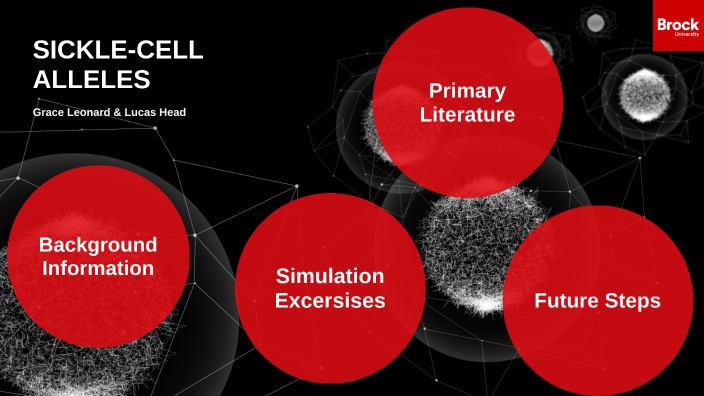 sickle cell alleles by Grace Leonard on Prezi
