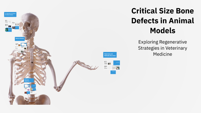 Critical Size Bone Defects in Animal Models by Amr H on Prezi