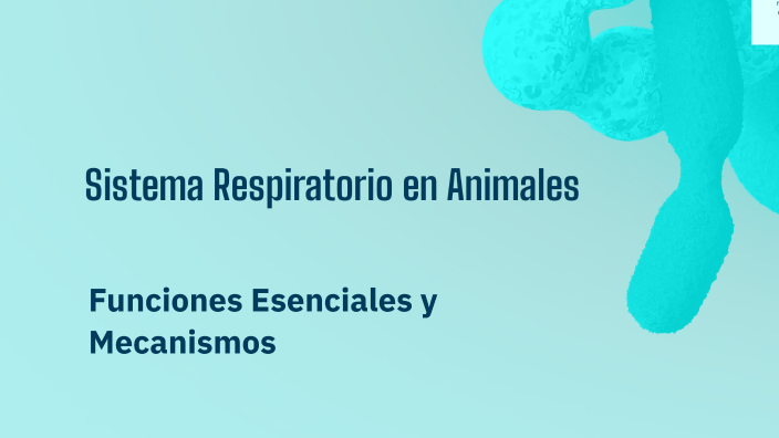 Sistema Respiratorio en Animales by juan diego afanador on Prezi