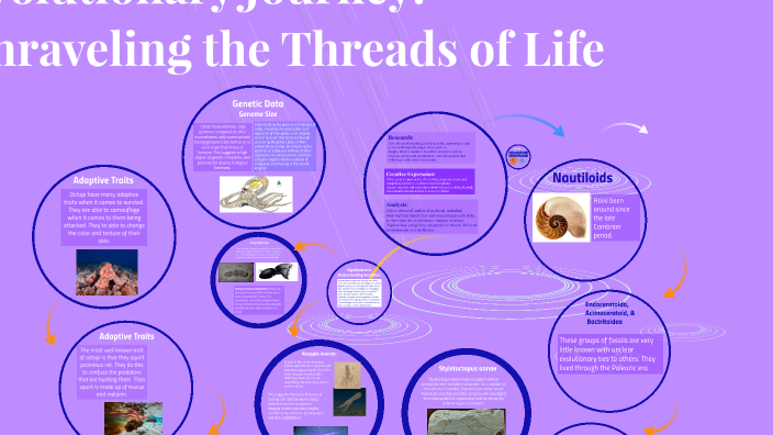 Evolutionary Journey: Unraveling the Threads of Life by Noor Shahadah ...
