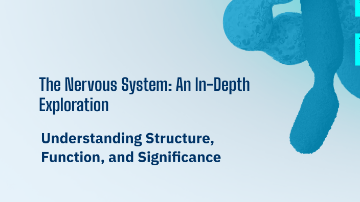 The Nervous System: An In-Depth Exploration by a g on Prezi