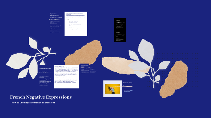 French Expressions: Positive vs. Negative by Selena Gao on Prezi