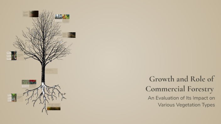 Growth and Role of Commercial Forestry by Yuvraj Mourya on Prezi