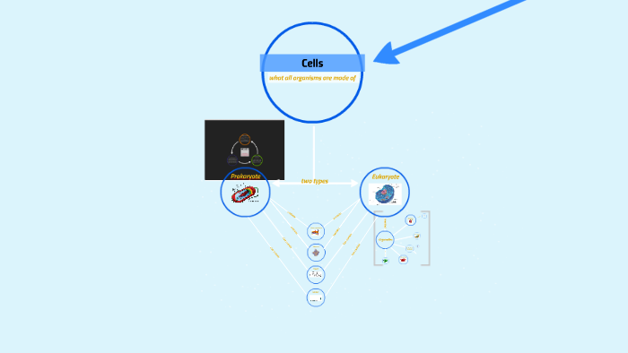 Interactive Concept Map:Cells by Jessica Nowak on Prezi