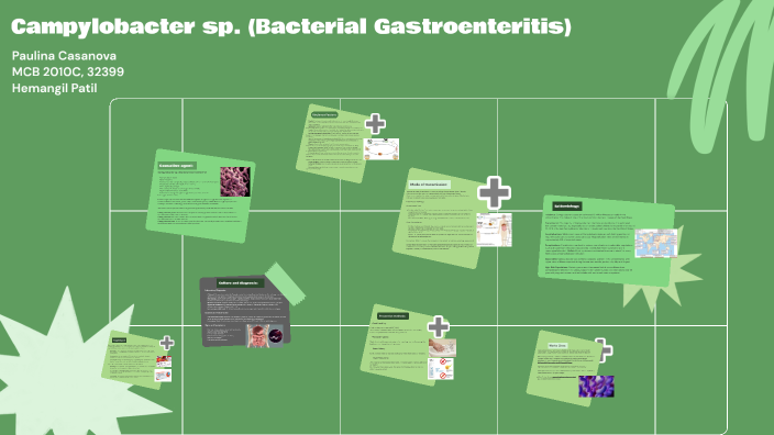 Campylobacter sp. Disease Map by Paulina Casanova on Prezi