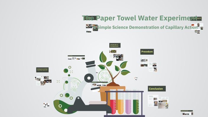 The Paper Towel Water Experiment by Mohamed Labed on Prezi