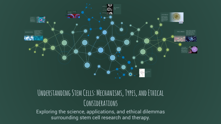 Understanding Stem Cells: Mechanisms, Types, and Ethical Considerations ...