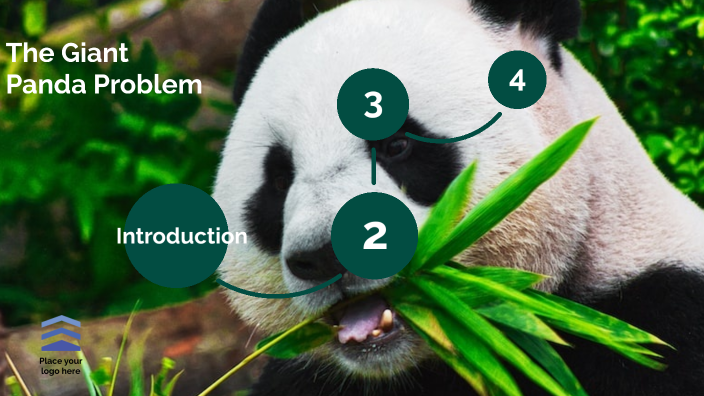 The Giant Panda Problem by Jaxon Trahant on Prezi