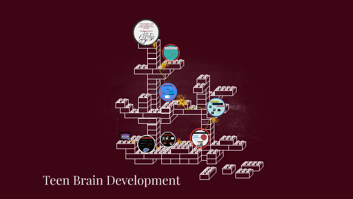 Teen Brain Development by on Prezi