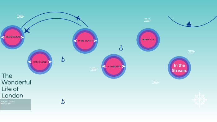 The Life Cycle by Angela Lutton on Prezi