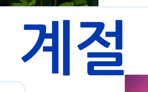 피임 by sookhee lim on Prezi