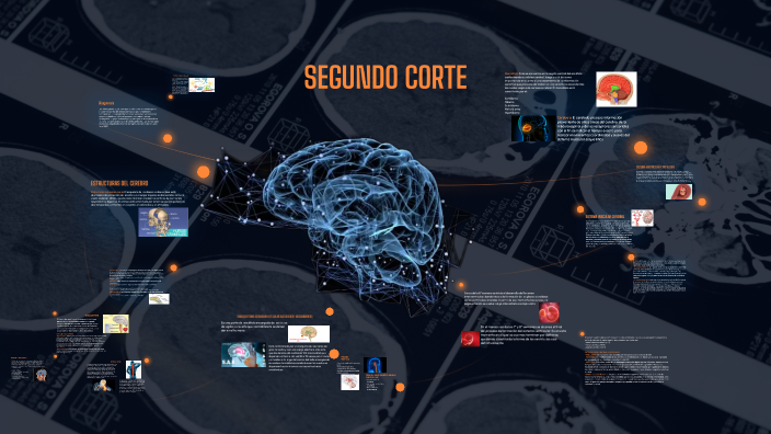 SEGUNDO CORTE by ana maria navarro trillos on Prezi