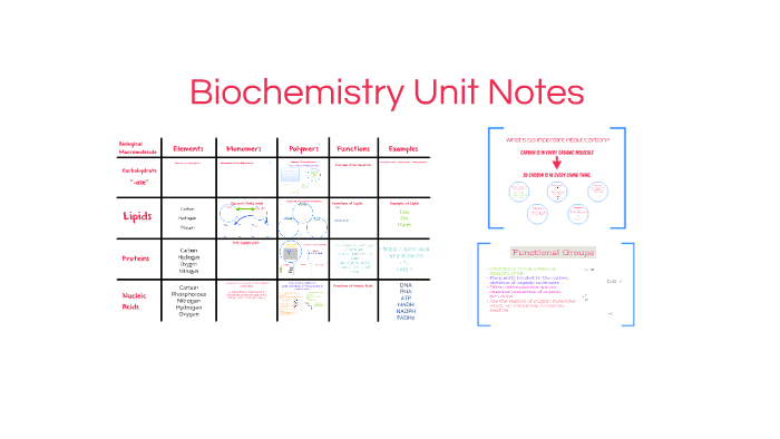 Biochemistry Unit Notes by K M on Prezi