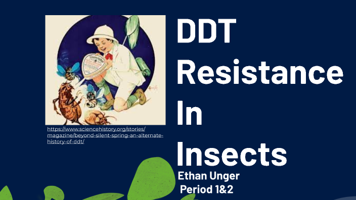 DDT Presentation by Ethan Unger on Prezi