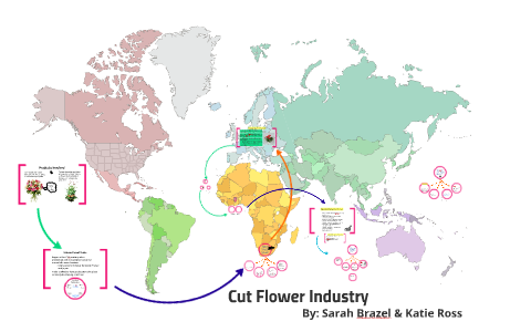 Cut Flower Industry by Katie Ross on Prezi