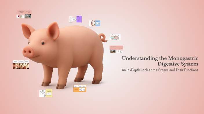 Understanding the Monogastric Digestive System in Pigs by Izzy Bagwell ...